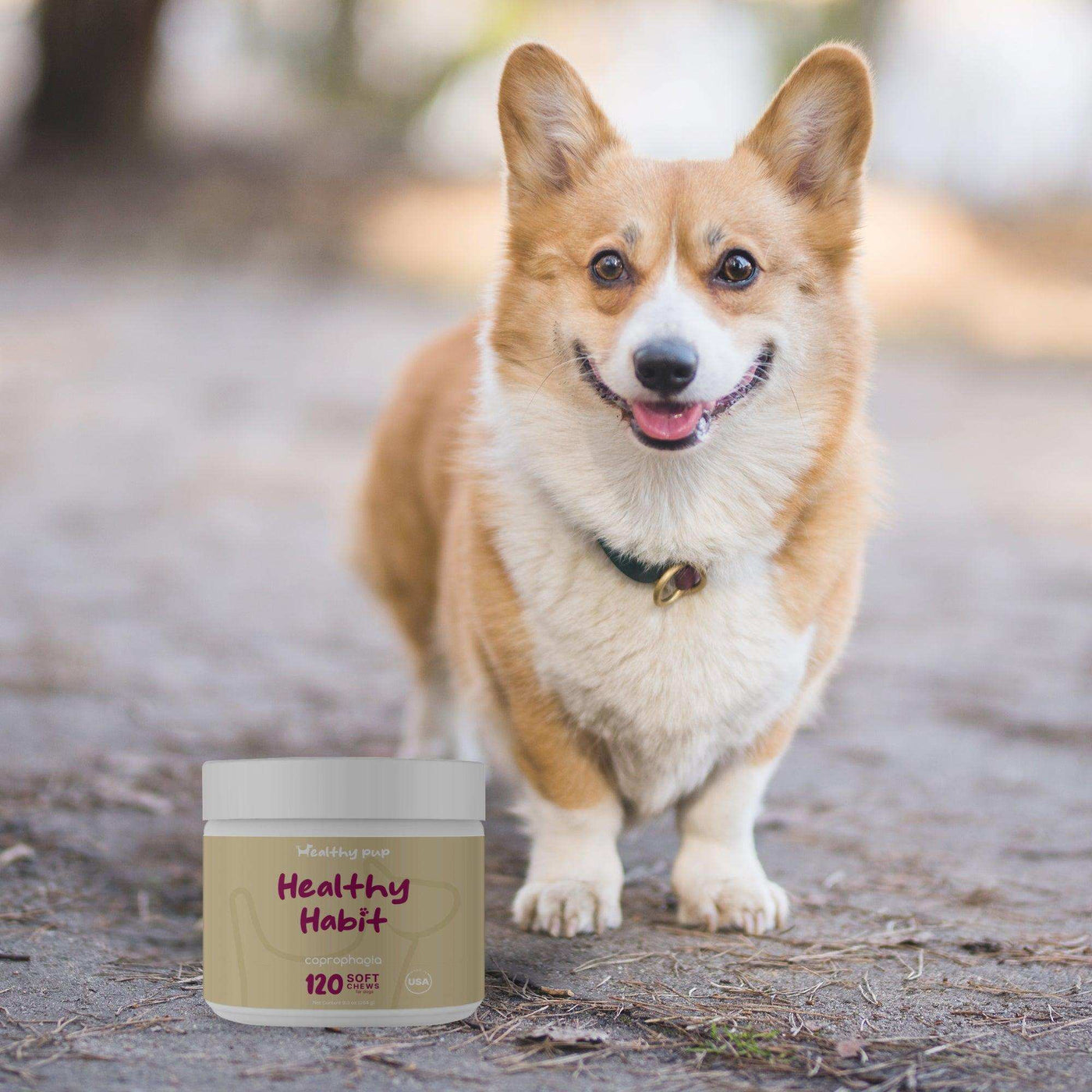 Healthy Pup Healthy Habit Coprophagia Supplement for Dogs — Shop Home Med